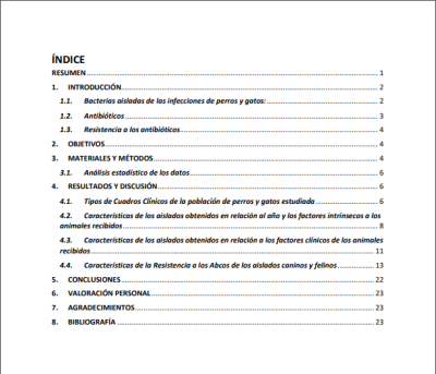 Índice TFG: cómo hacerlo, ejemplos, tipos y consejos